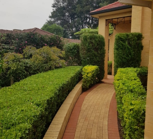 Garden Clean-ups | Services | Greenz Gardenscaping