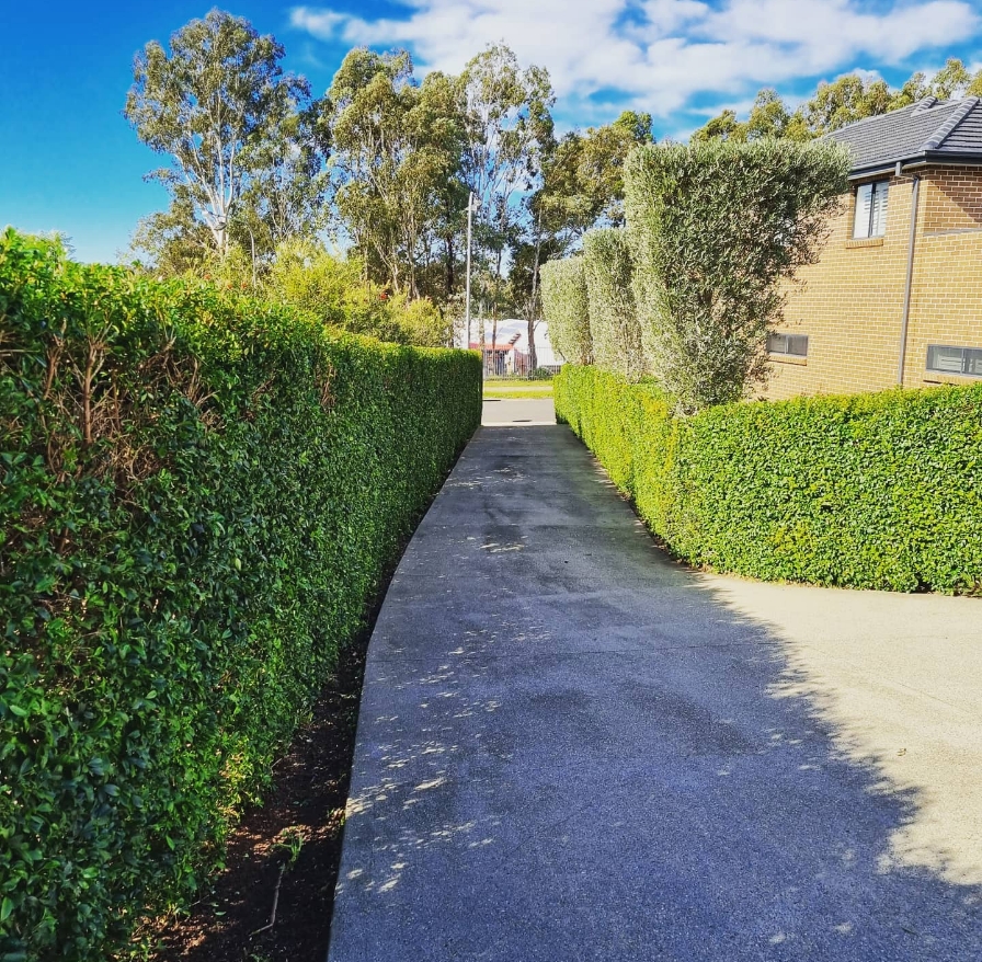 Meet The Team | Greenz Gardenscaping